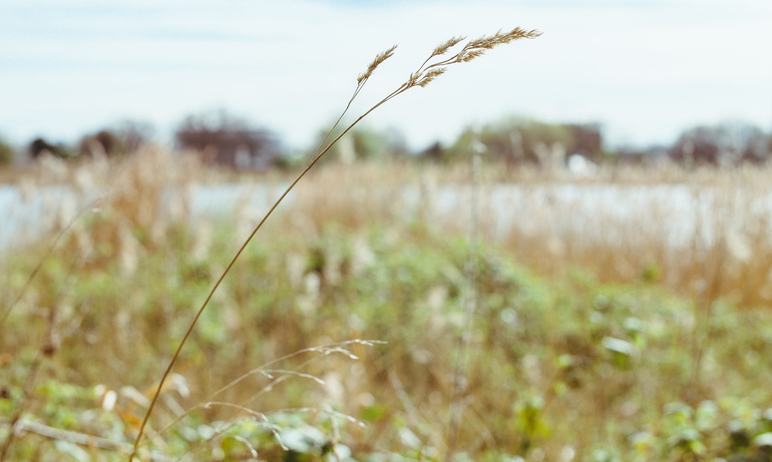 Show Me The Honey - Woodberry Life